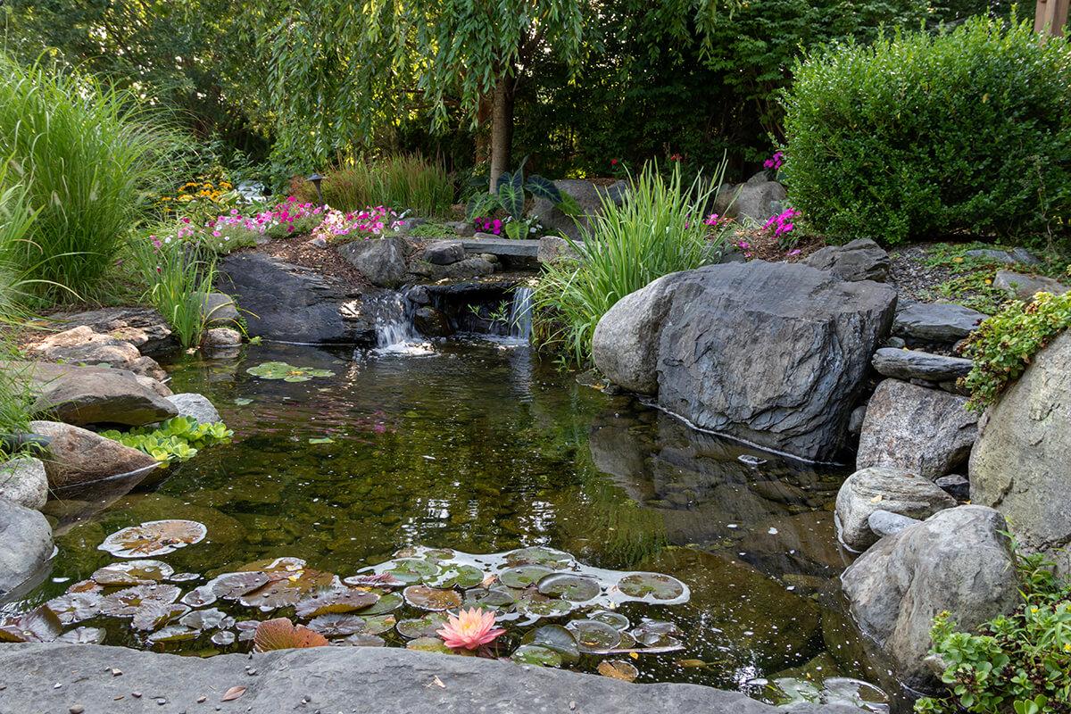 DIY Backyard Pond and Fountains for Homeowners