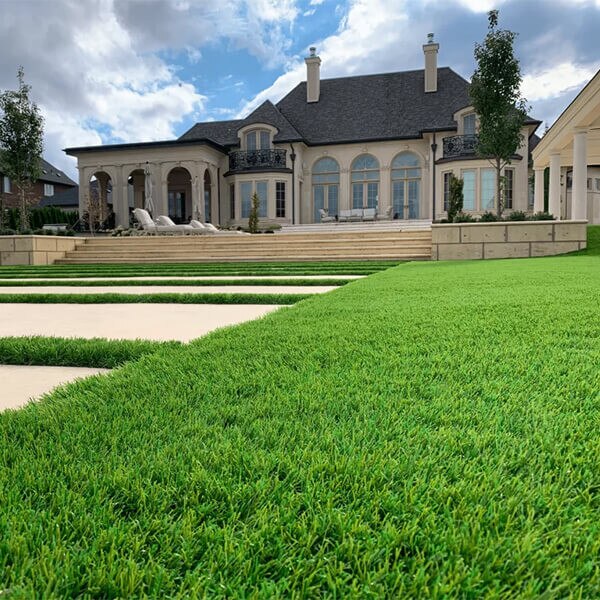 AGL Majestic 70 Artificial Turf | Van Beek's