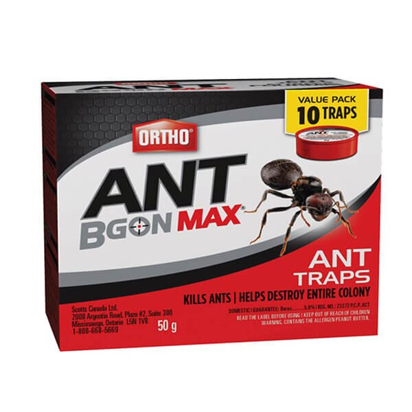 Ant B Gon Max | Van Beek's