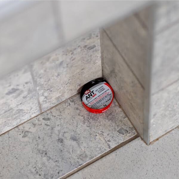 Ant B Gon Max | Van Beek's