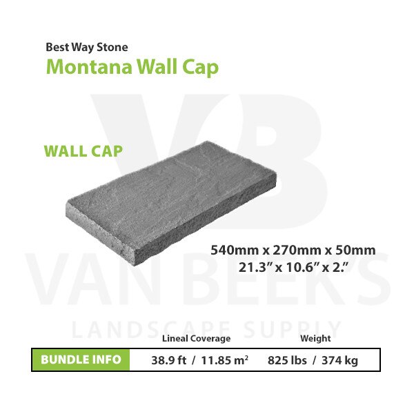 BWS Montana Wall Cap | Van Beek's