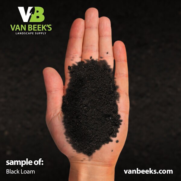 Black Loam | Van Beek's