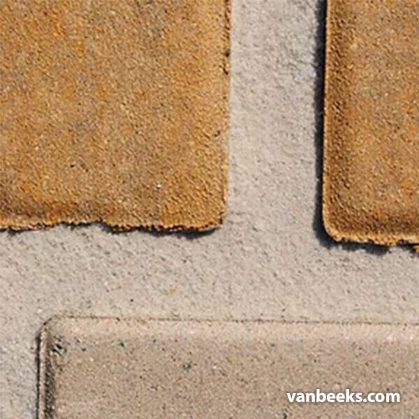 Evolution Polymeric Sand | Van Beek's