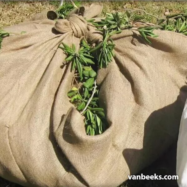 Jute Burlap | Van Beek's