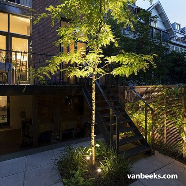 in-lite Scope 12v | Van Beek's