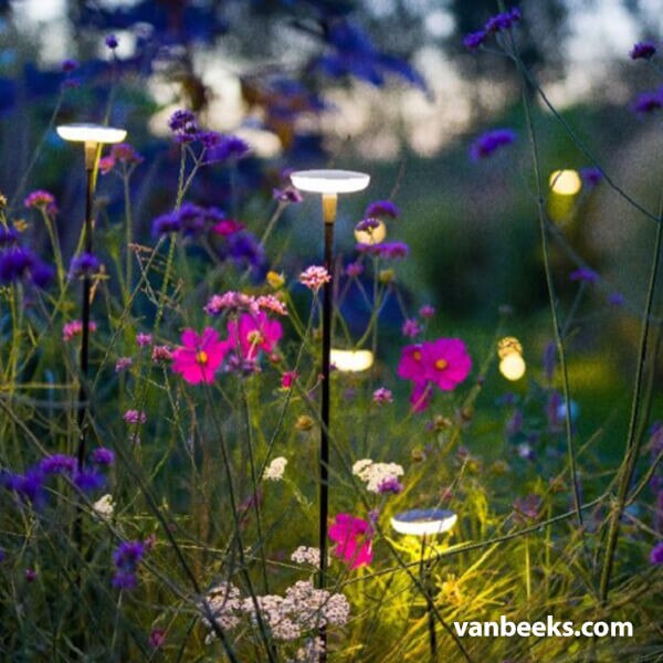 in-lite Sway Light Head | Van Beek's