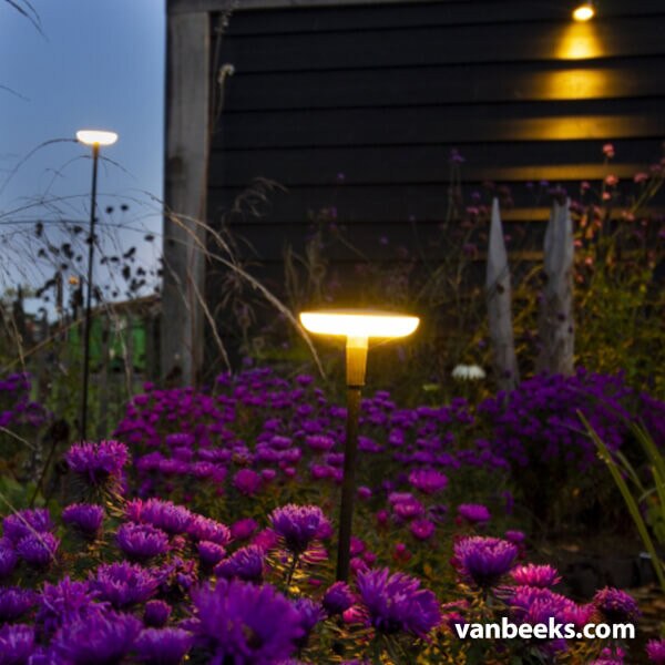 in-lite Sway Light Head | Van Beek's