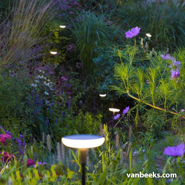 in-lite Sway Light Head | Van Beek's