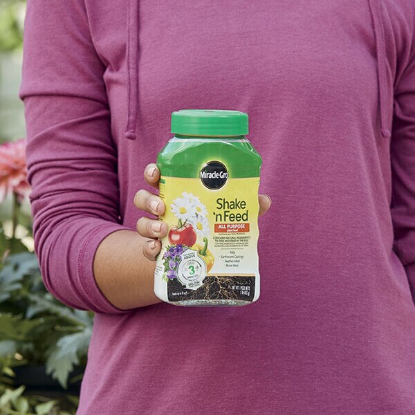 Miracle Gro Shake 'N Feed All Purpose 12-4-8 | Van Beek's