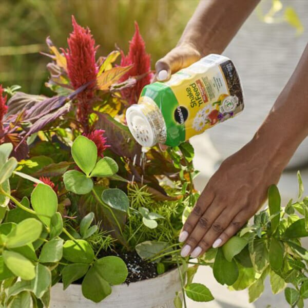 Miracle Gro Shake 'N Feed All Purpose 12-4-8 | Van Beek's