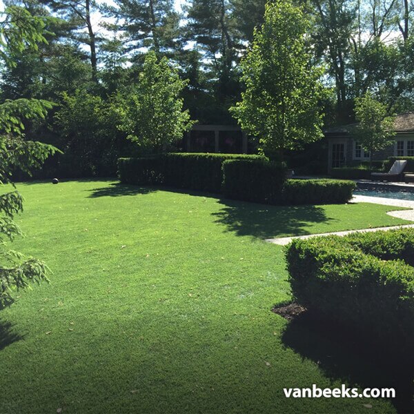 Rymar Durablade 65 Artificial Turf | Van Beek's