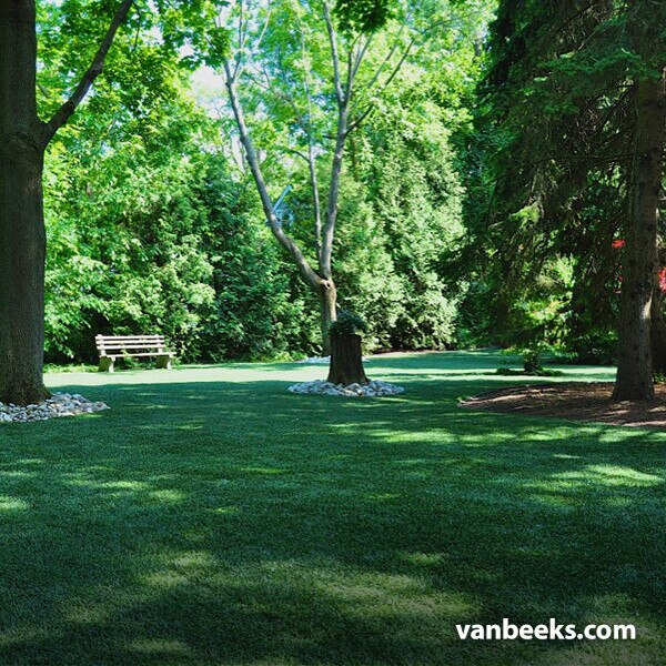 Rymar Durablade 65 Artificial Turf | Van Beek's