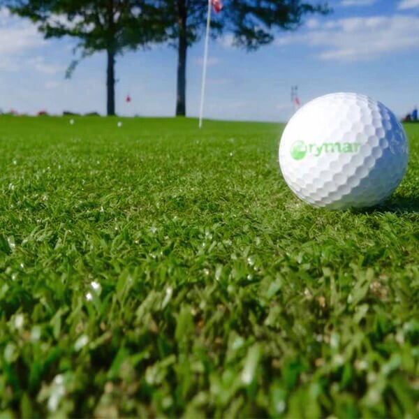 Rymar Pro Putt Artificial Turf | Van Beek's