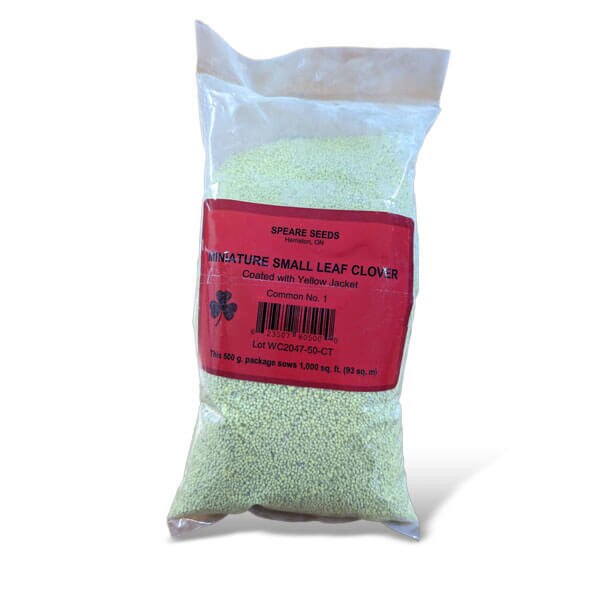Speare Seeds Coated Miniature Small Leaf Clover | Van Beek's