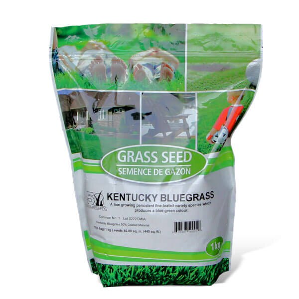 Speare Seed - Kentucky Bluegrass | Van Beek's