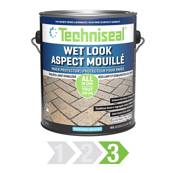 Techniseal WA Wet Look Sealer | Van Beek's