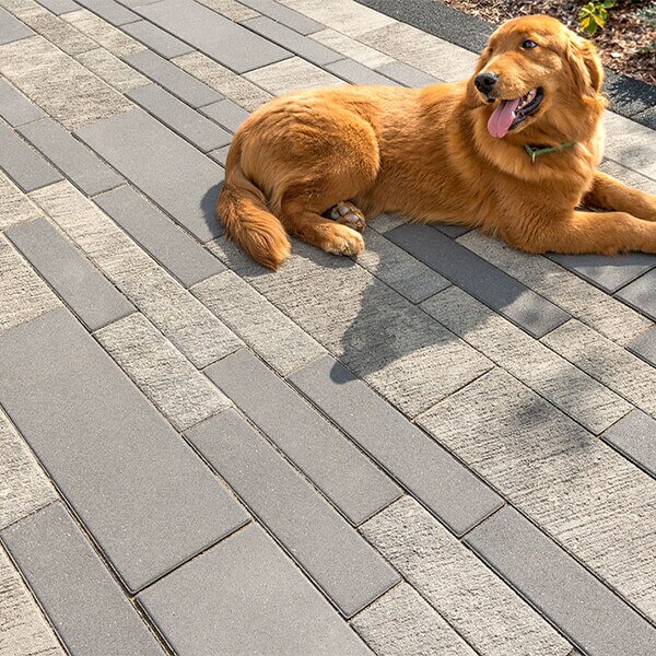 Unilock Promenade Concrete Paver| Van Beek's