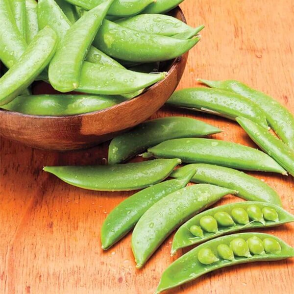 Snap Pea Seeds | Van Beek's