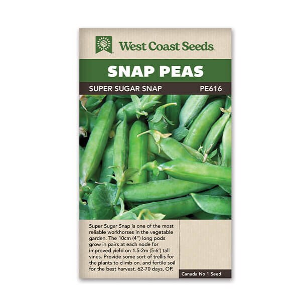 Snap Pea Seeds | Van Beek's